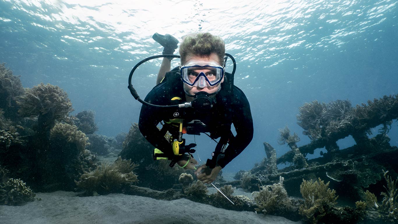 Menyelam Scuba Bali, Kursus Menyelam PADI &Snorkeling |Blue Season Bali