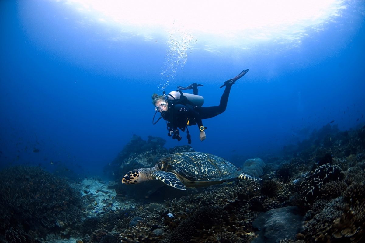 Diving Course: PADI Open Water Diving Course | Bali Ocean