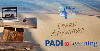 PADI Scuba Diving Courses Bali | Blue Season Bali
